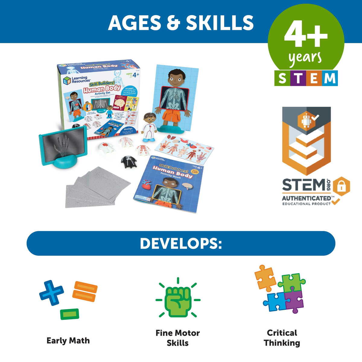 Skill Builders! Human Body Activity Set – A Brighter Child Homeschool ...
